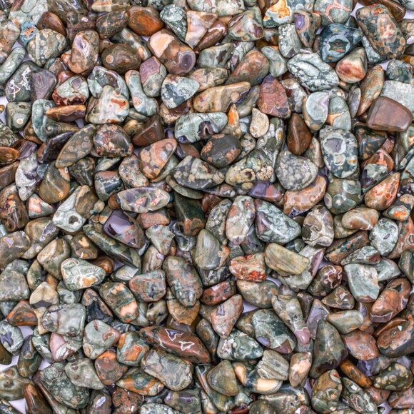 Tree Of Life Gems | Office | 4 Lb Tumbled Rainforest Rhyolite Jasper ...